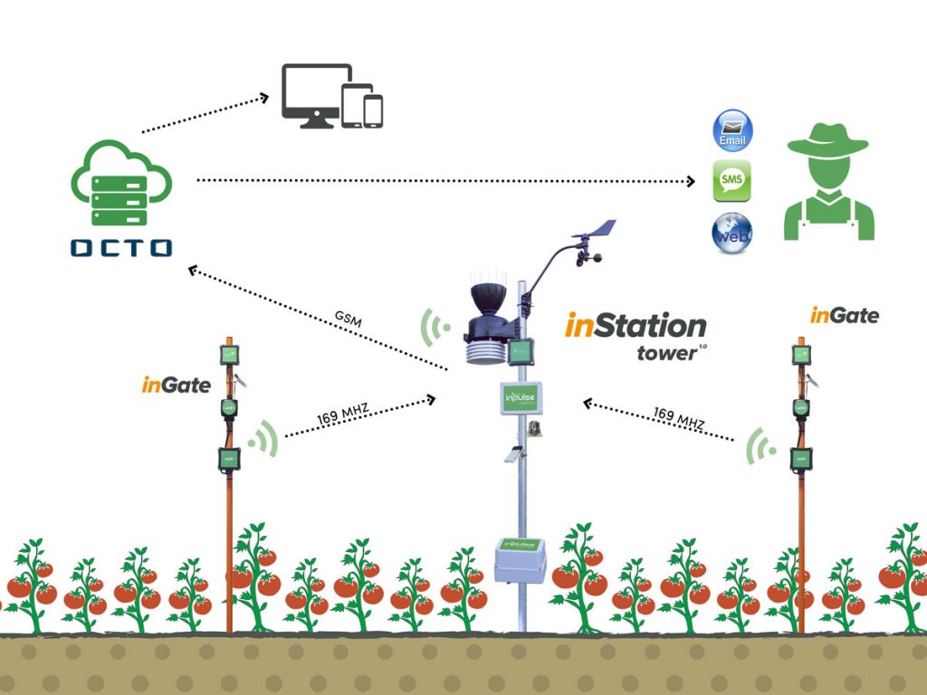 InGate 1.0 – AMA Inpulse